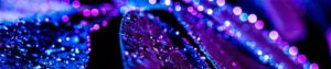 SF Worldbuilding Techniques | Victoria Janssen